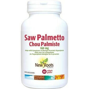 New roots - chou palmiste – Gagné en Santé