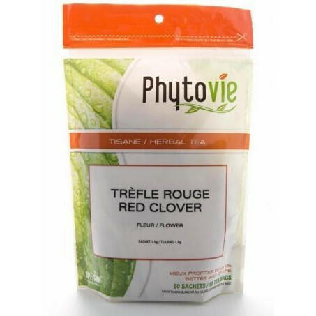 Trèfle rouge | Tisane – Gagné en Santé